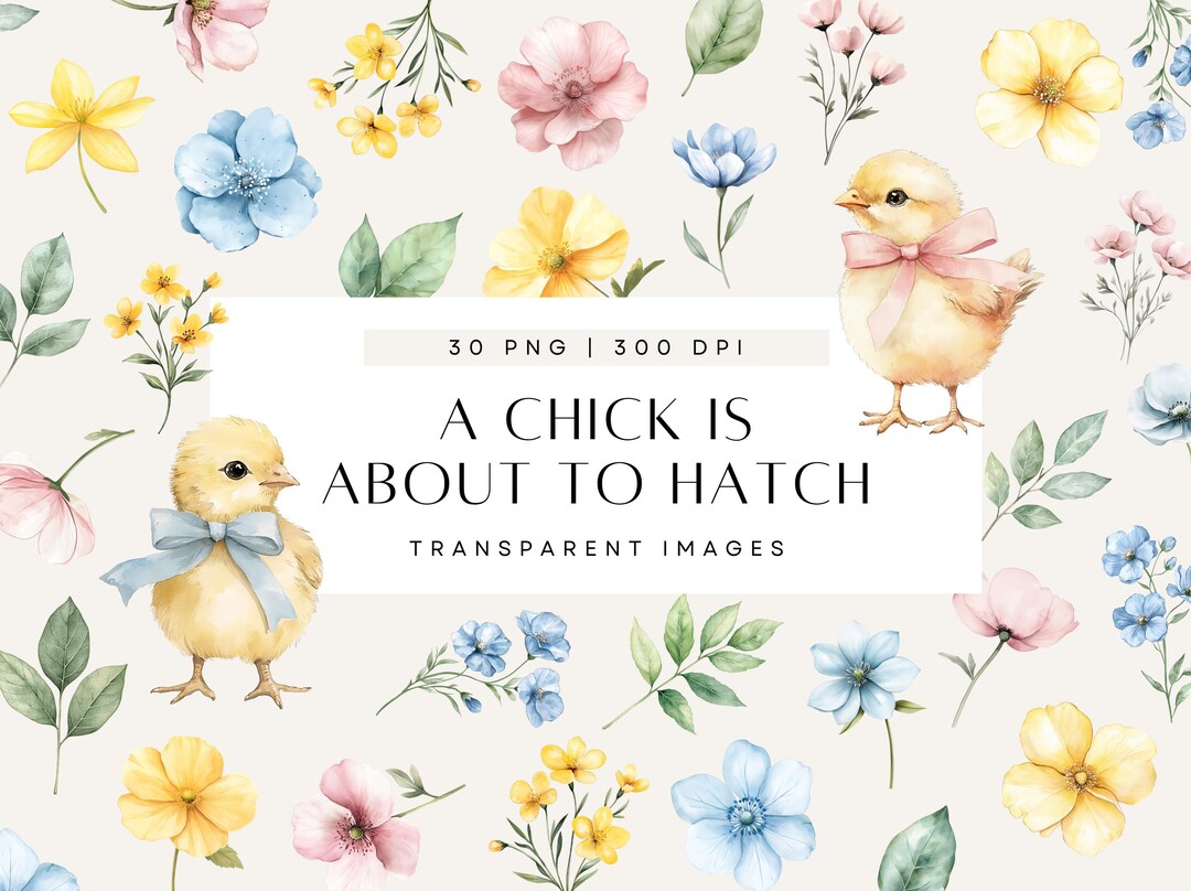 Baby Chick Clipart, Spring Flowers Bouquet, Prep the Nest Baby Shower ...