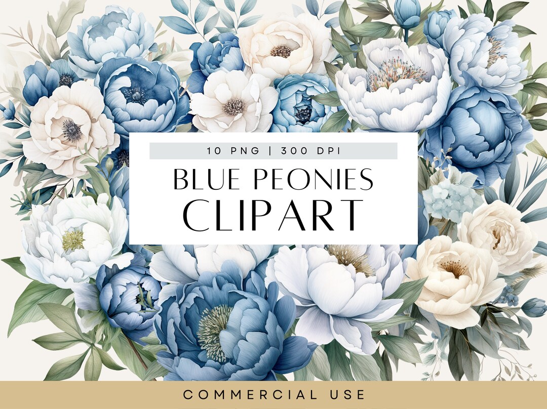 Blue Peonies Clipart Peony Flower Transparent Floral PNG Clip - Etsy