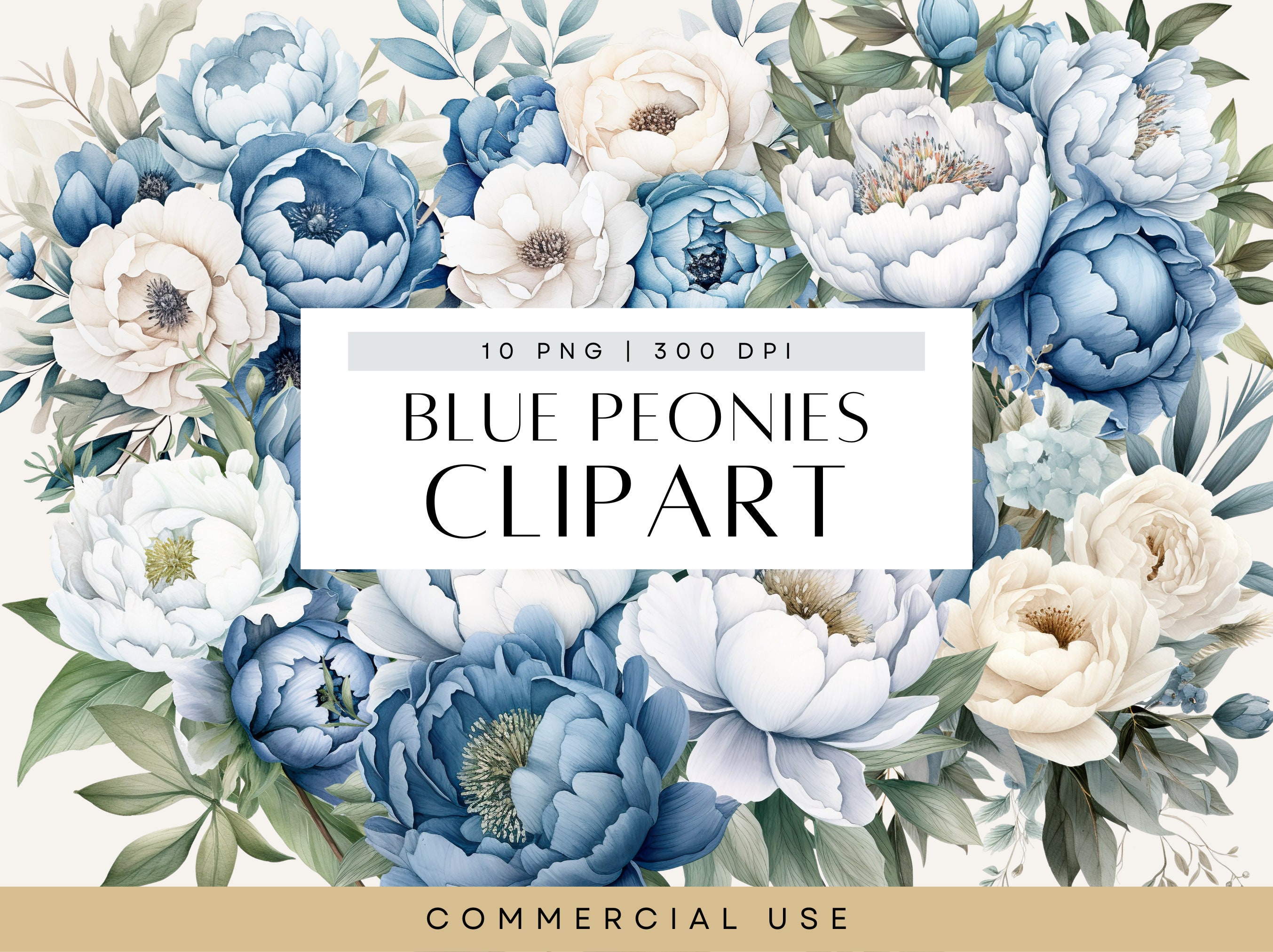 Blue Peonies Clipart Peony Flower Transparent Floral PNG Clip - Etsy