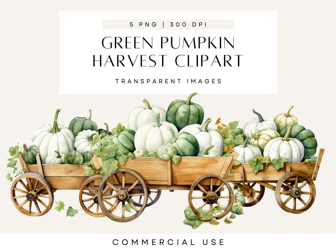 Watercolor Thanksgiving Pumpkin Clipart, Sage Green Clip Art, Farmhouse ...