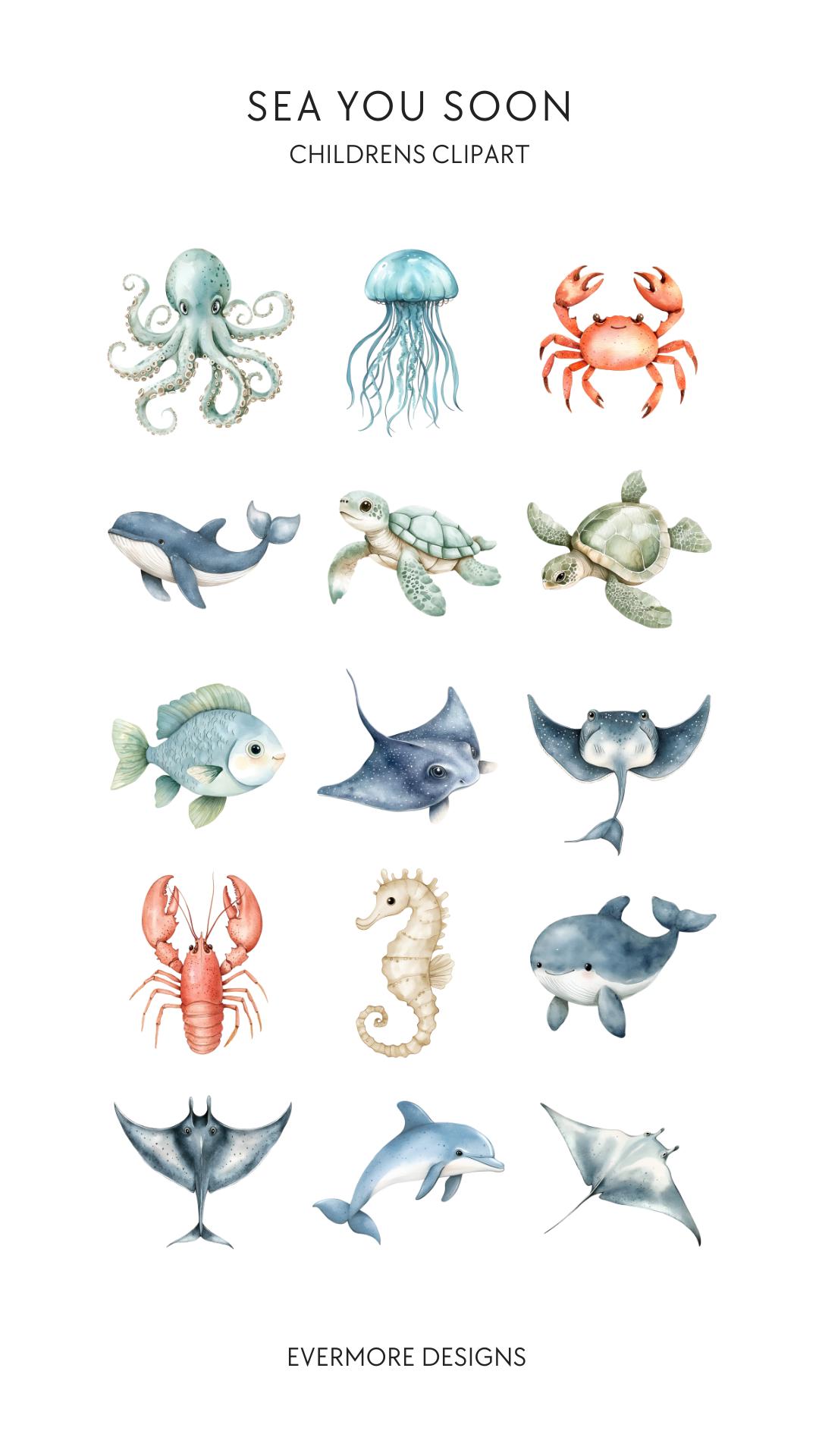 Sea You Soon Clipart | Watercolor Baby Shower Coastal PNG Beach Baby ...