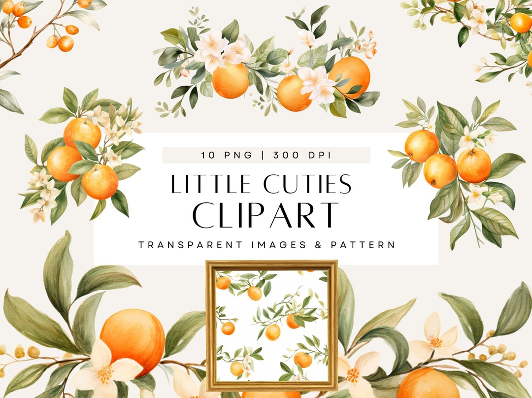 Little Cutie Clipart, Watercolor Orange Clipart, A Little Cutie is on ...