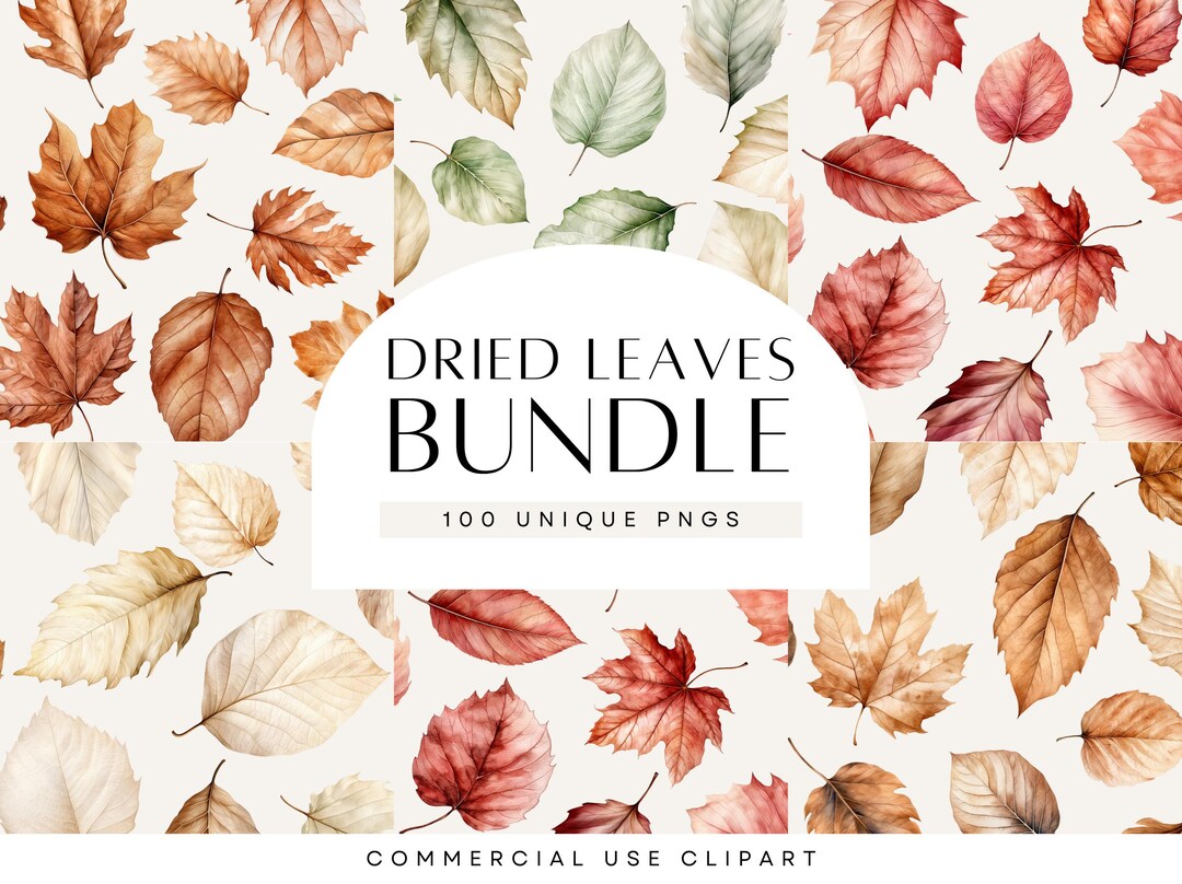 Maple Leaves Clipart, Watercolor Fall Leaf Clipart, Dried Leaf, Autumn ...