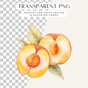 Peach Watercolor Clipart, Peach Floral Greenery, Watercolor Peaches ...