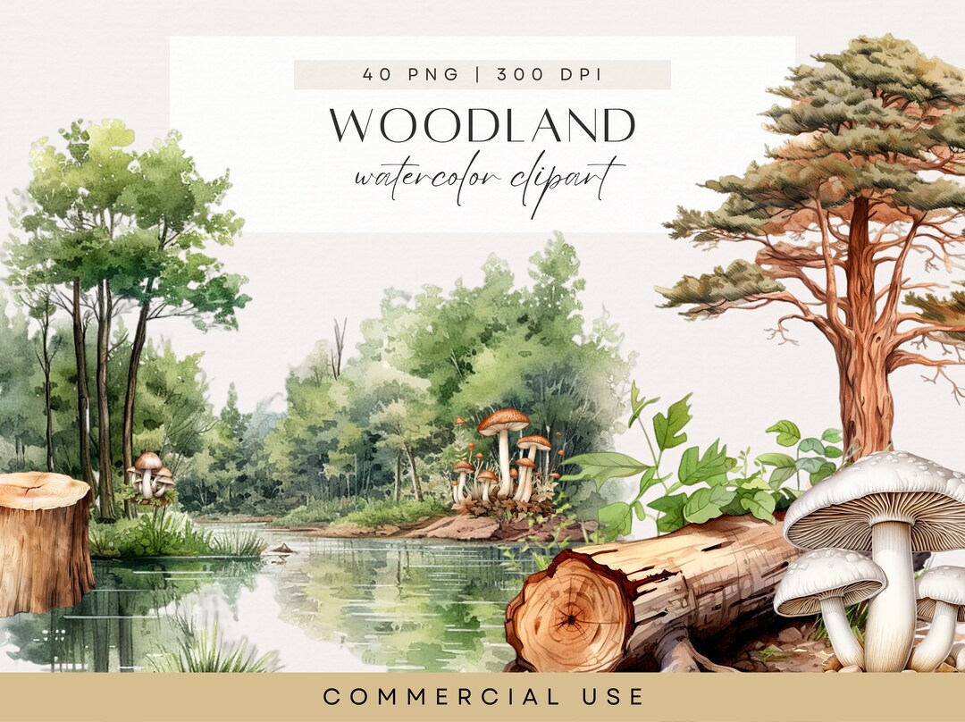 Woodland Clip Art, Watercolor Forest Clip Art, Clipart Scenes ...