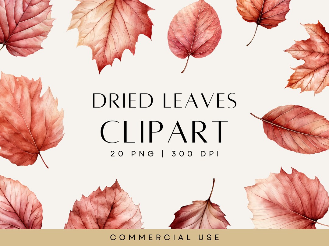 Groovy Fall Clipart Bundle Cozy Autumn Watercolor Clipart - Etsy