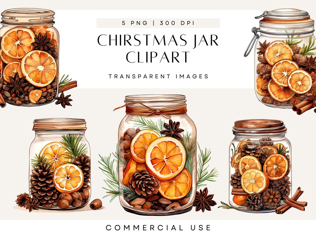 Boho Christmas Clipart, Citrus Clip Art, Dried Orange, Winter Foliage ...