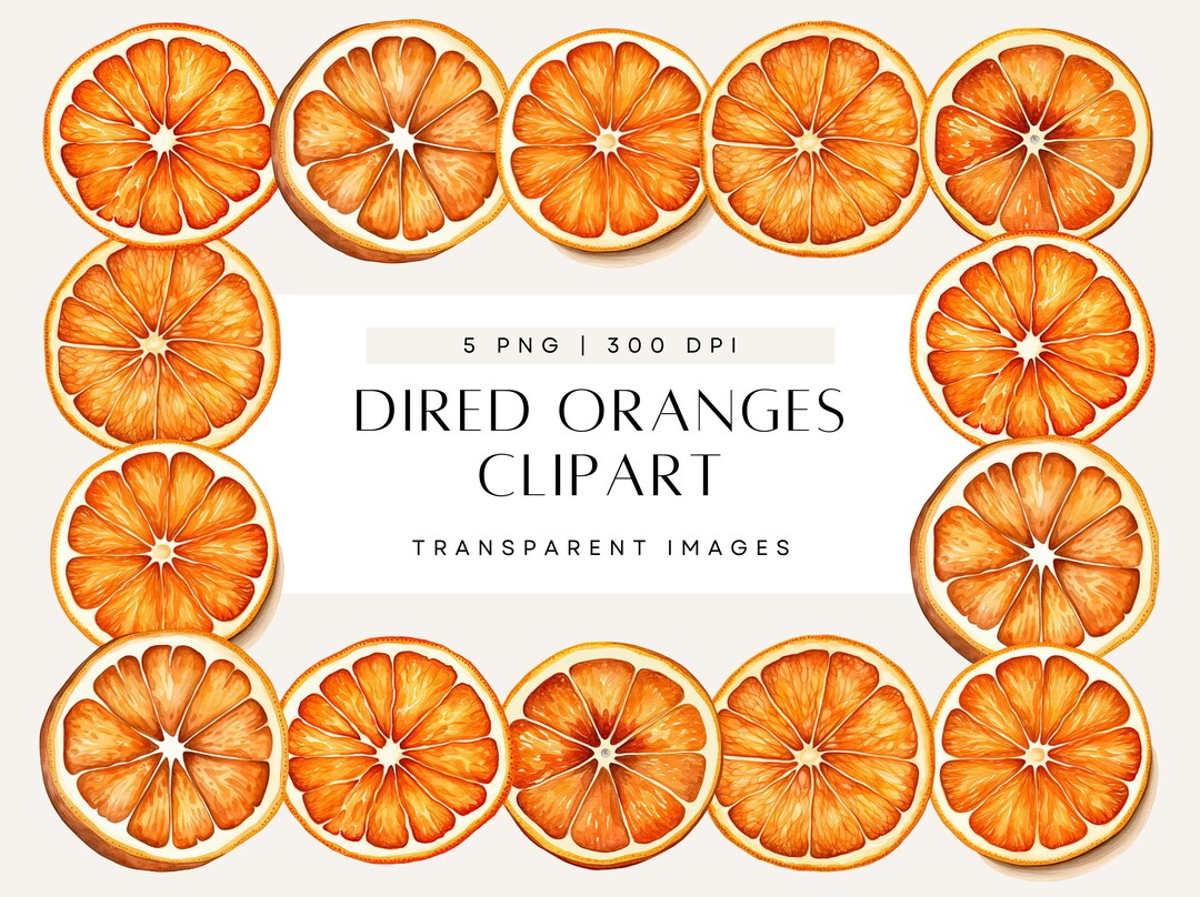 Dried Orange Clipart, Dried Citrus Slices, Classic Christmas Clip Art ...