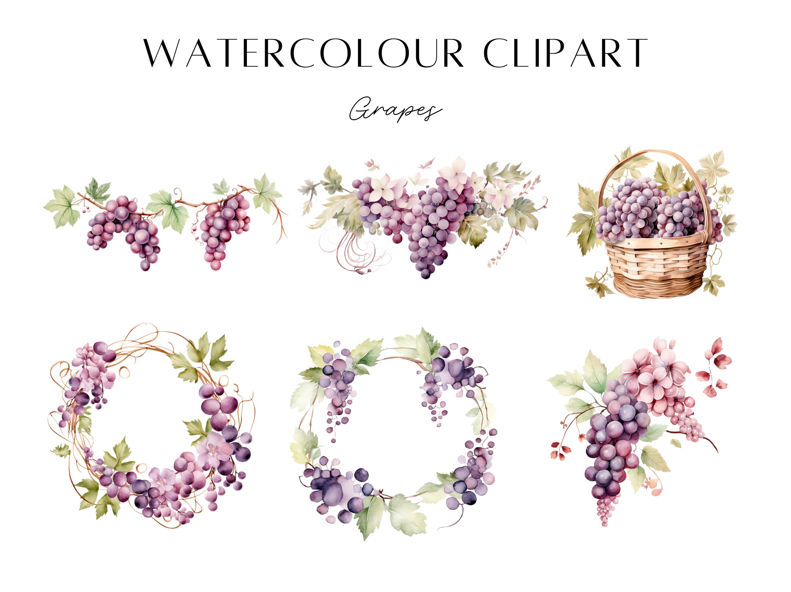 Watercolor Grape Clipart, Tutti Fruiti Baby Shower, Purple Grapes on ...