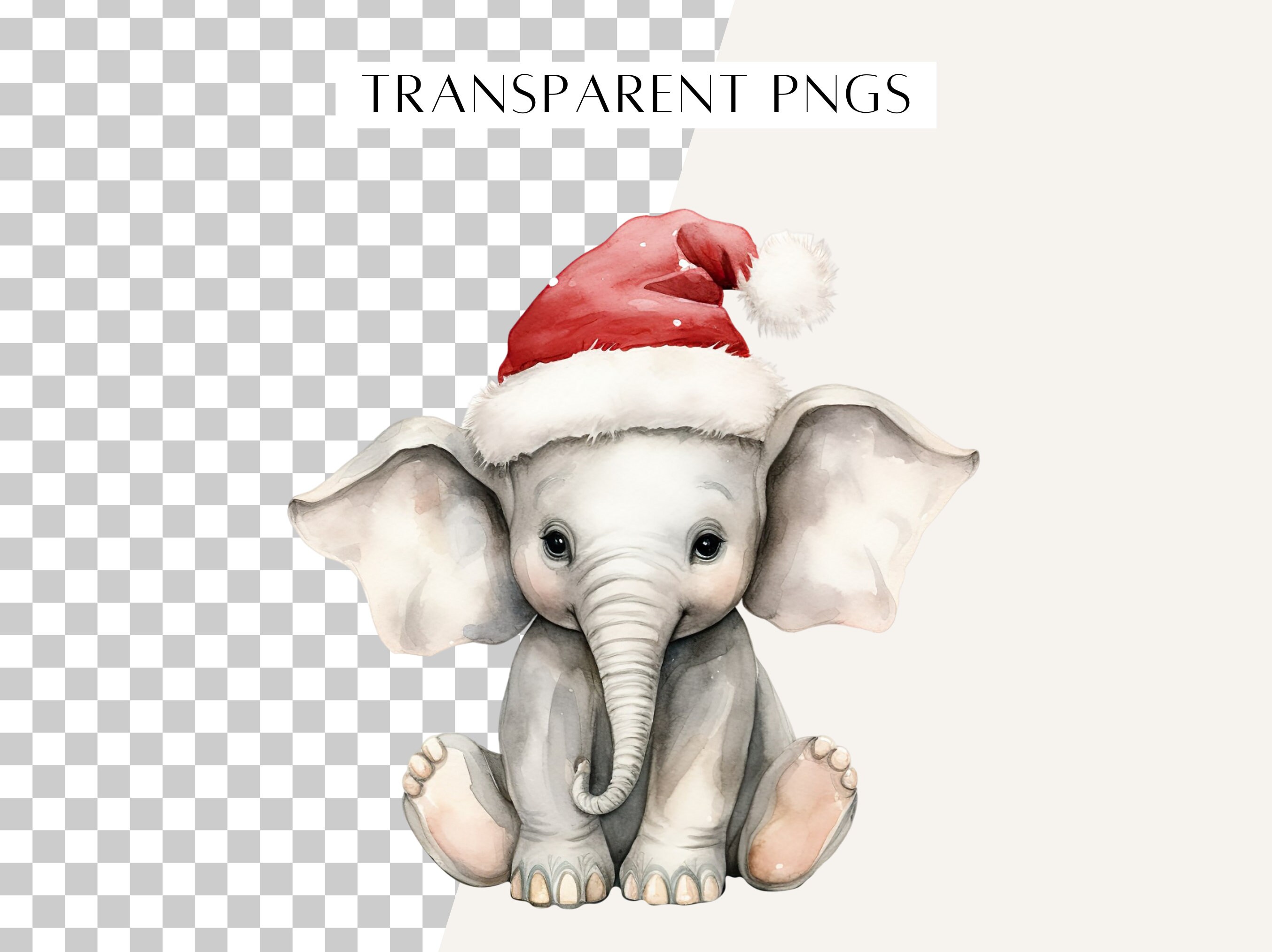 Whole Store Bundle Clipart, All Access Clip Art Pass, Entire Shop ...