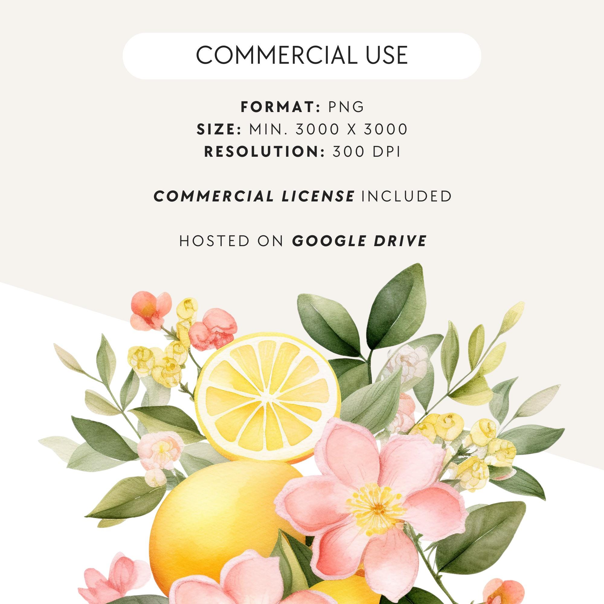 Pink Lemonade Clipart, Summer Party Cocktail, Yellow Floral, Sunshine ...