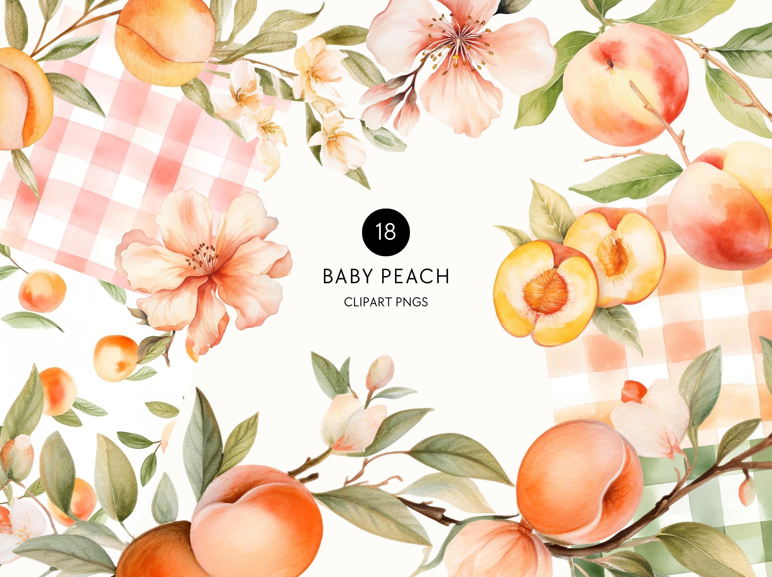 Peach Watercolor Clipart, Peach Floral Greenery, Watercolor Peaches ...
