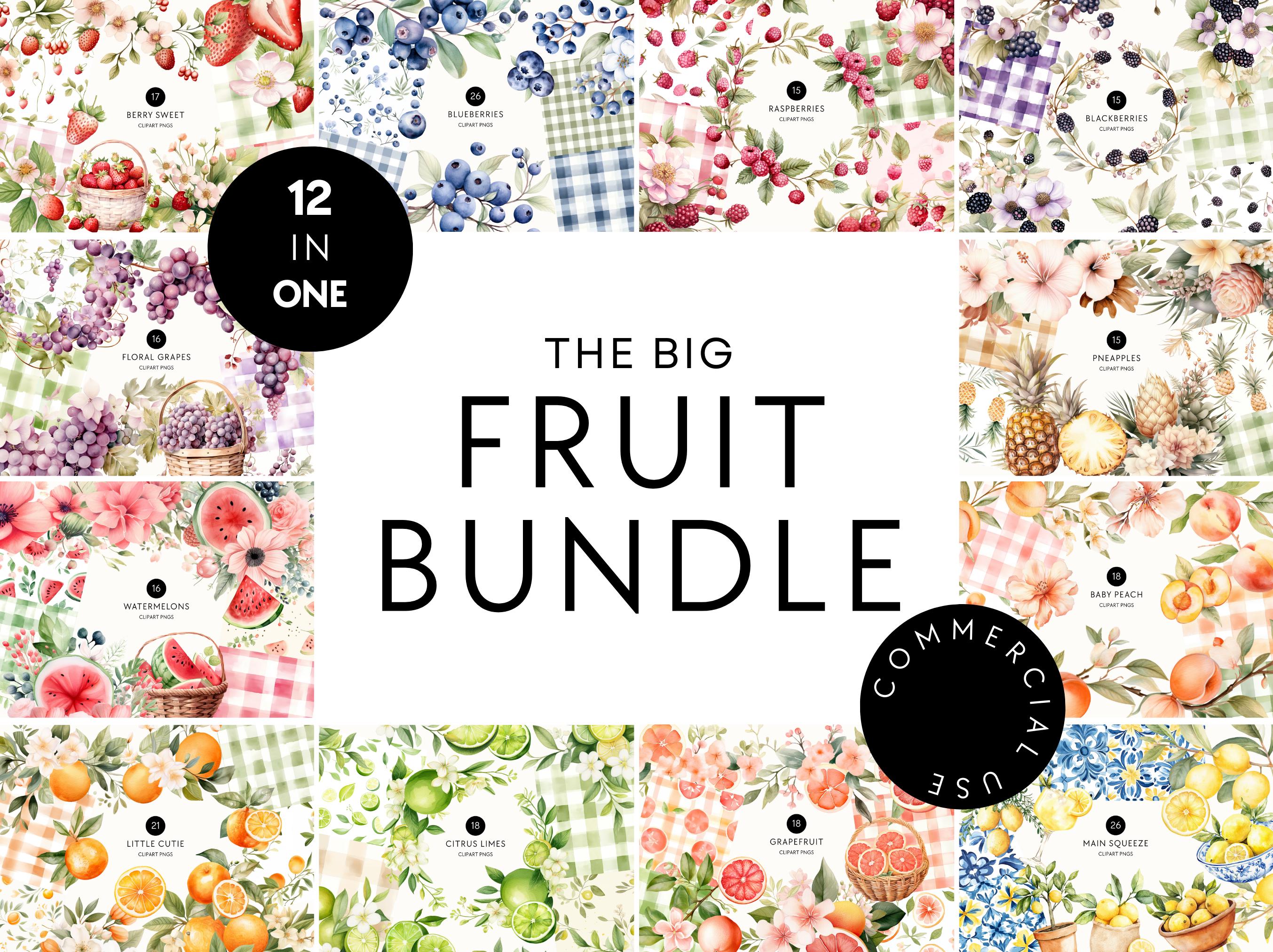 Fruit Clipart Commercial Use, Watercolor Citrus BUNDLE, Cute Fruit Set ...