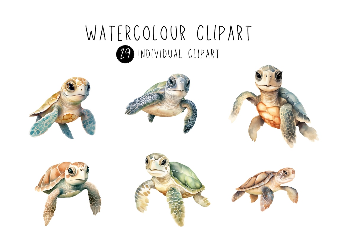 Watercolor Turtle Clipart, Nursery Clipart, Sea Turtles Birthday Party ...