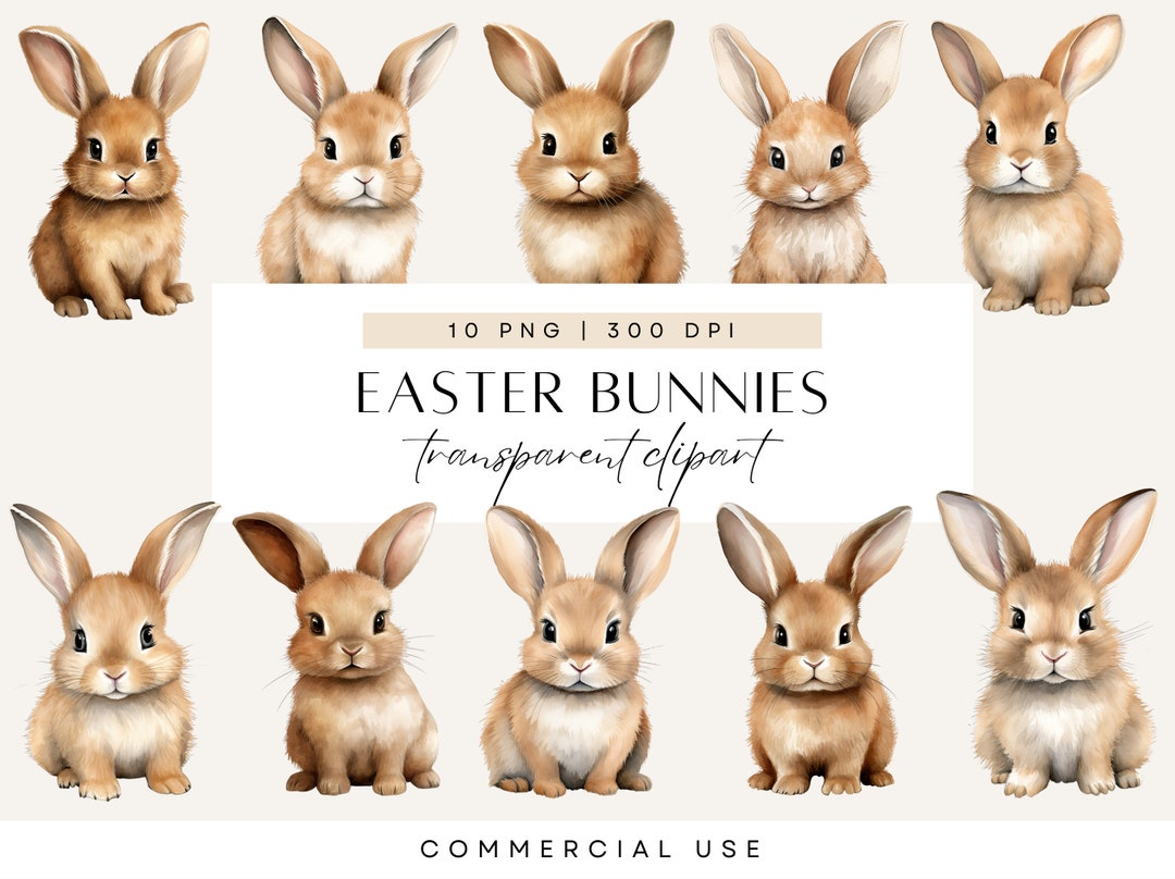 Cute Baby Easter Bunny Clipart, Easter Bunnies, Baby Bunny, Watercolor ...
