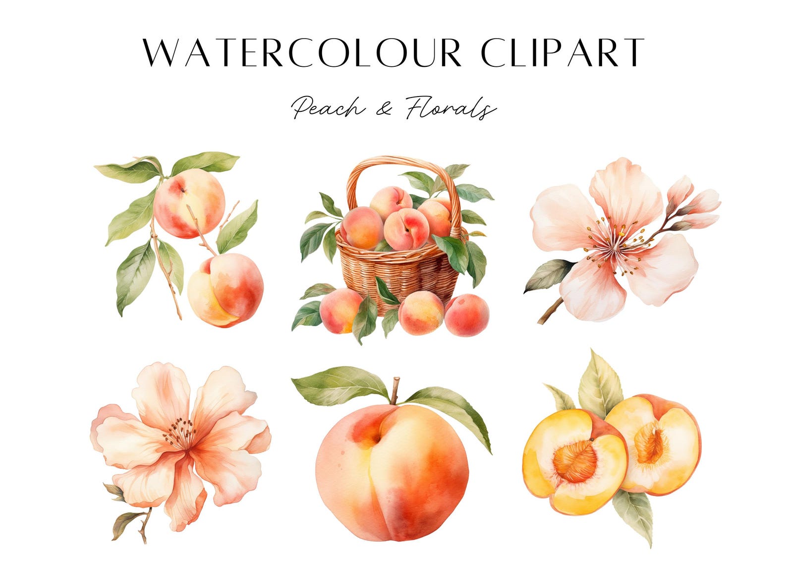 Peach Watercolor Clipart, Peach Floral Greenery, Watercolor Peaches ...