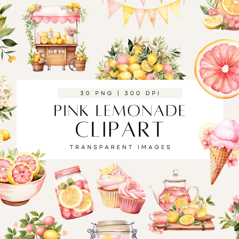 Pink Lemonade Party - Etsy