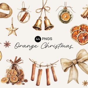 Orange Christmas Clipart, Classic Winter Foliage, Citrus Dried Oranges ...