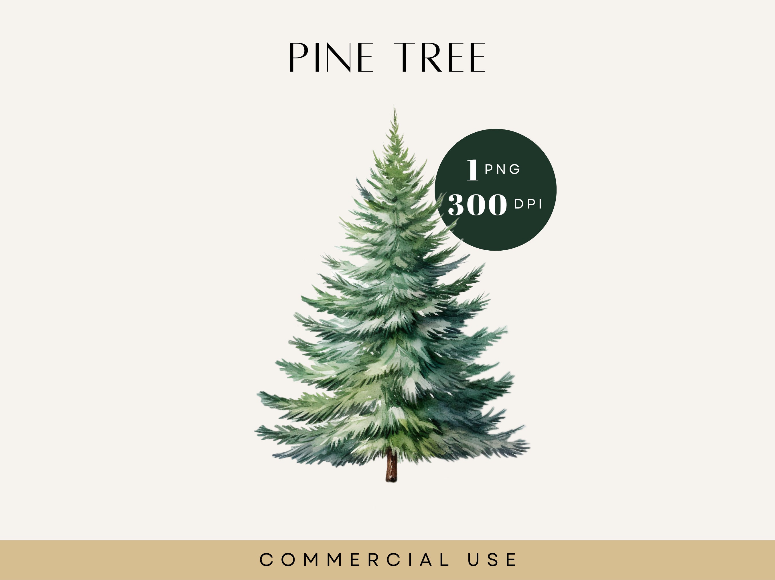 Clipart Christmas Pine Tree Watercolor Clipart Pine Tree - Etsy