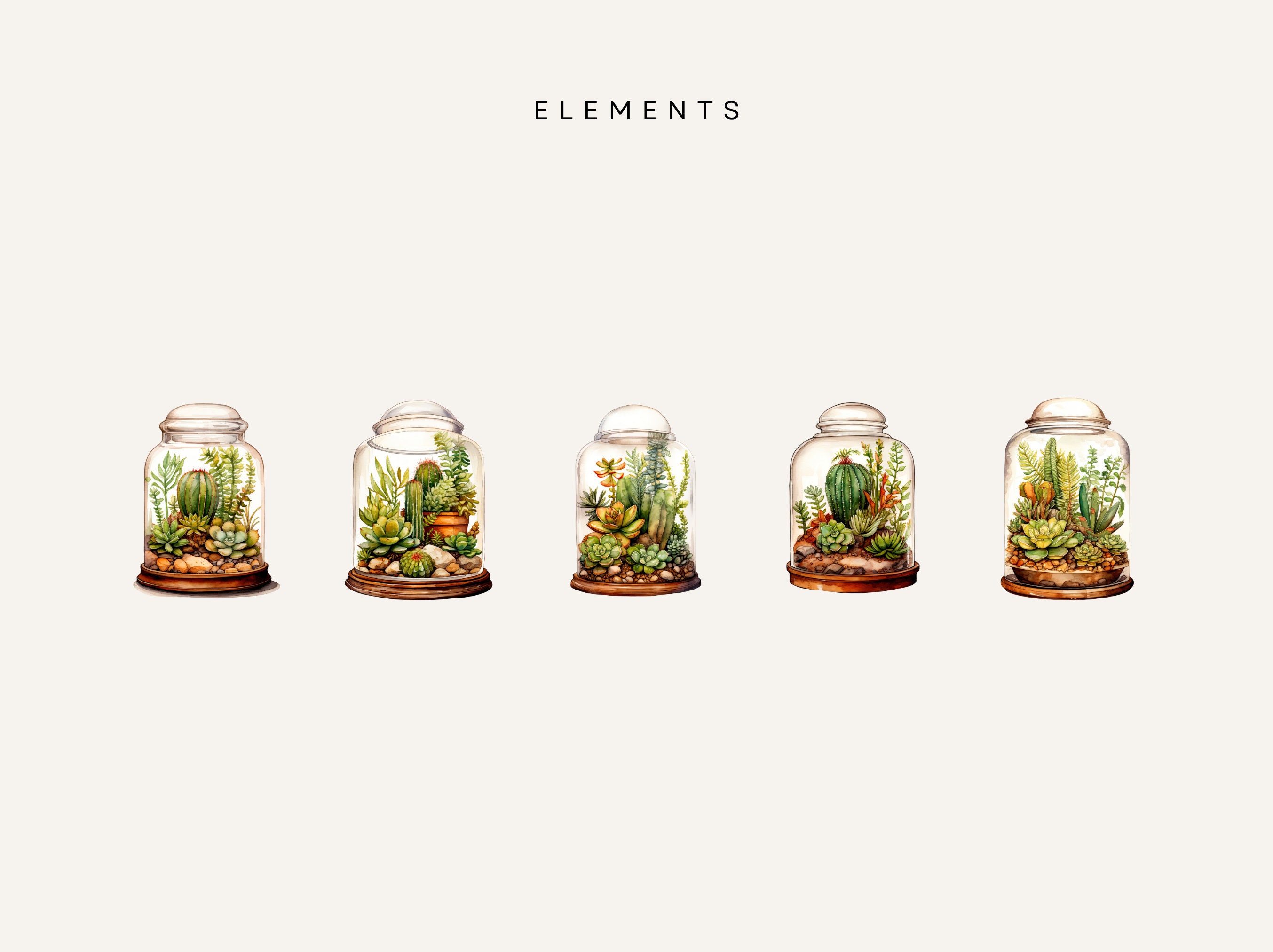 Terrarium Clip Art, Cozy Plants, Glass Terrarium, Planter, Succulent ...