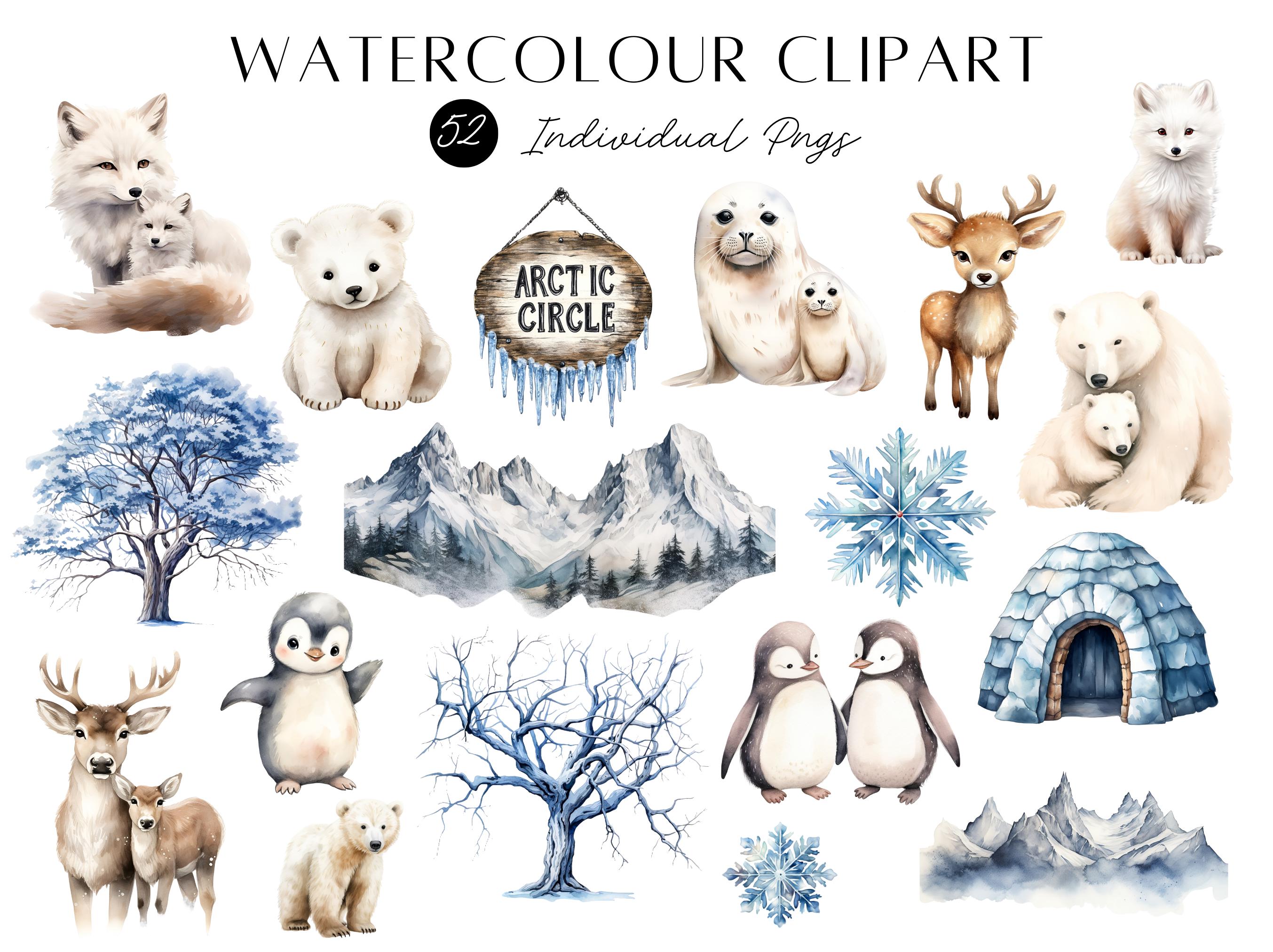 Winter Wonderland Clipart Bundle, Polar Bear, Arctic, Woodland Animals ...