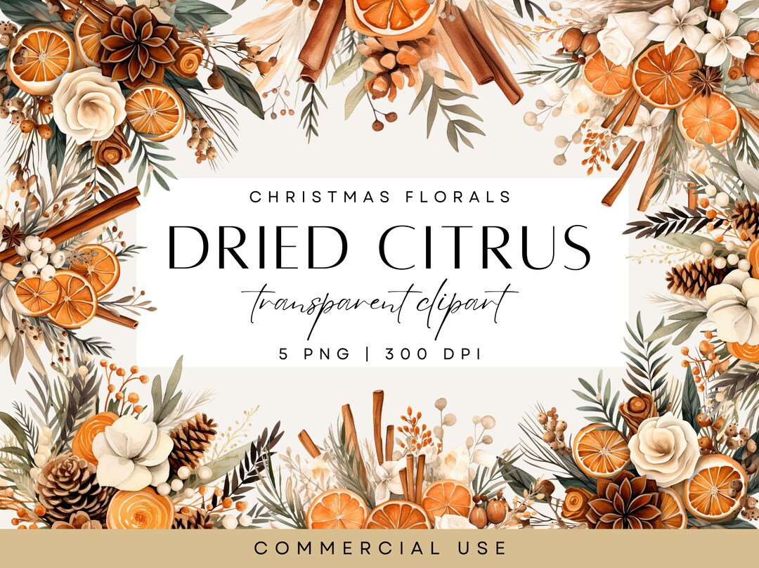 Boho Bouquet Watercolor Flowers Clipart Orange Floral Clip - Etsy