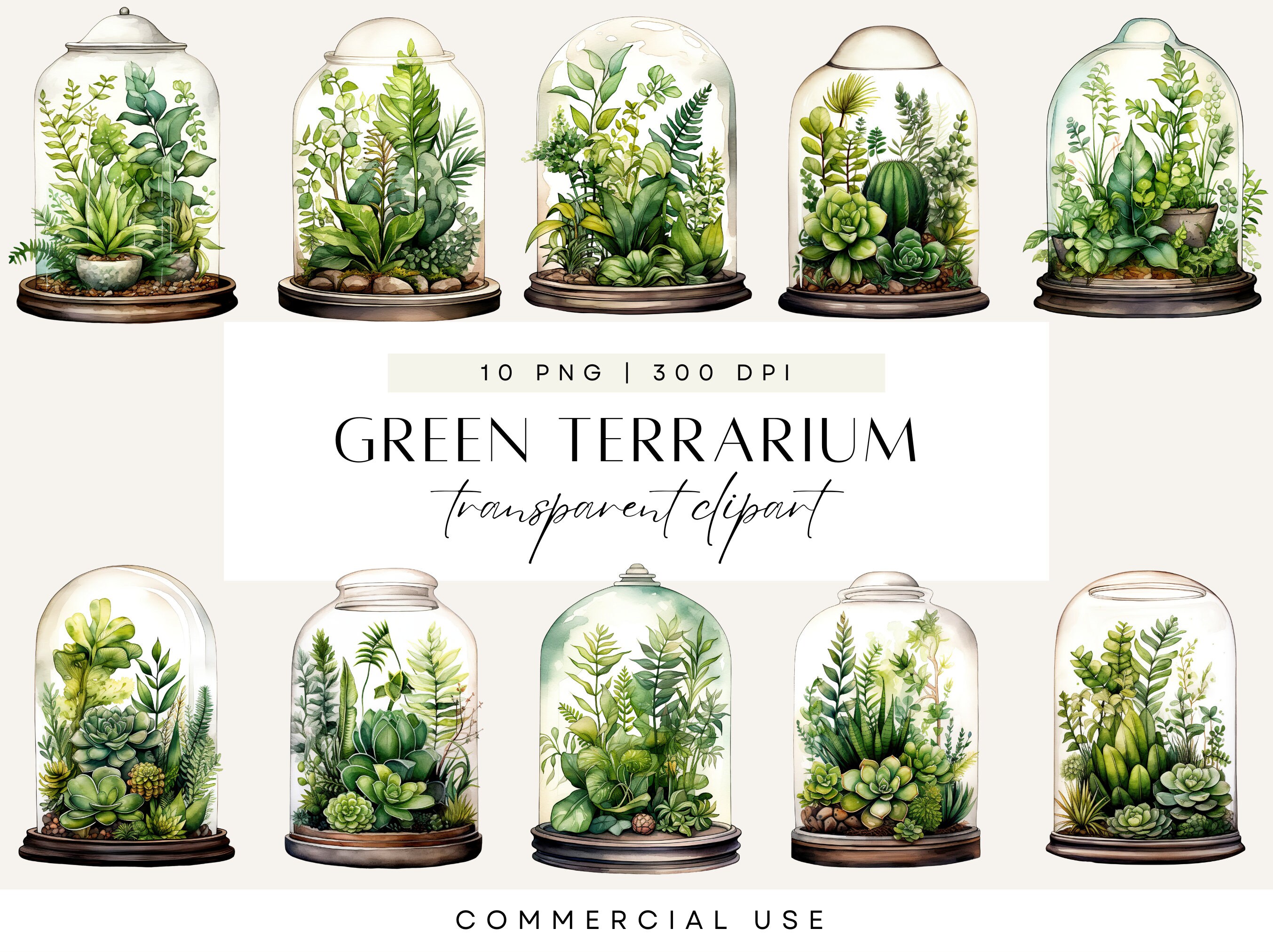 Terrarium Clip Art, Green Glass Terrarium, Planter, Succulent, Cacti ...