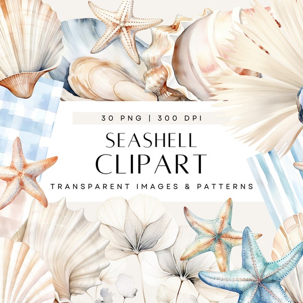 Shell Clipart - Etsy