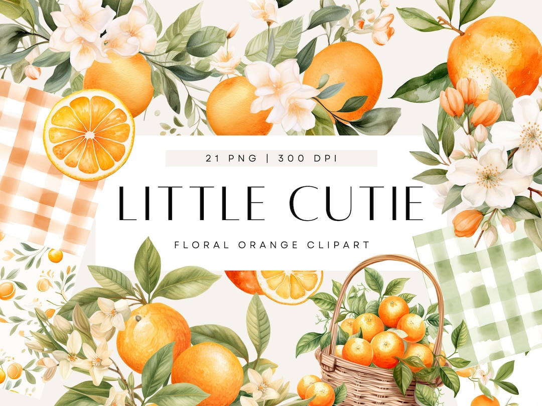 Little Cutie Clipart, Watercolor Orange Clipart, A Little Cutie is on ...