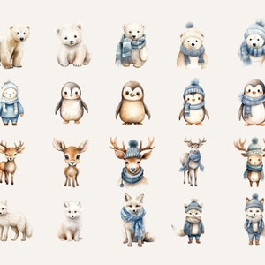 Winter Wonderland Clipart Bundle, Polar Bear, Arctic, Woodland Animals ...