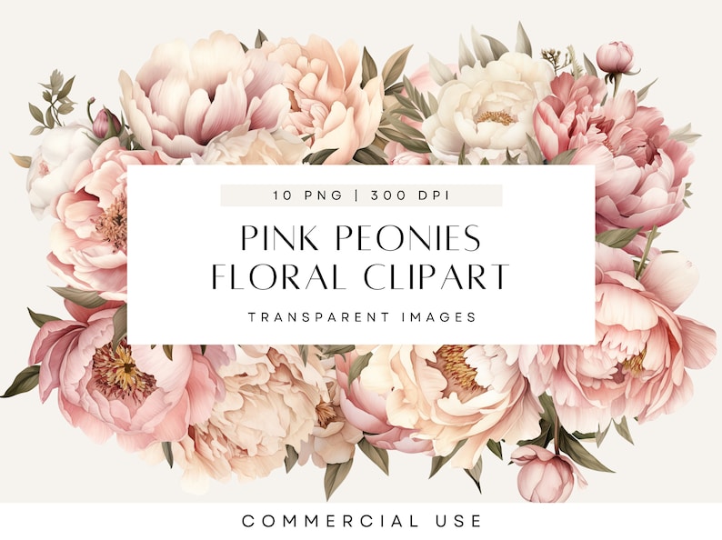 Pink Peonies Clipart, Peony Flower Transparent Floral PNG Clip Art ...