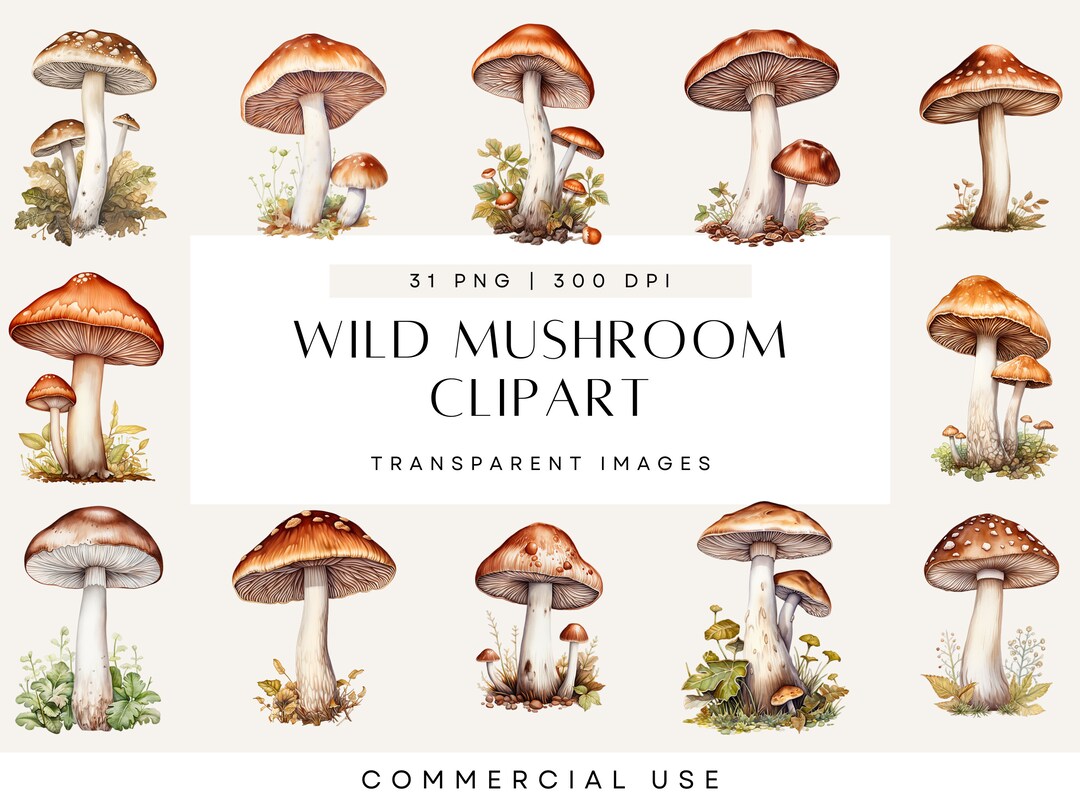 Wild Mushroom Clipart, Magic Mushrooms Clip Art, Neutral Watercolor ...