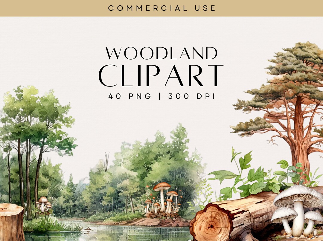 Woodland Clip Art Watercolor Forest Clip Art Clipart Scenes - Etsy