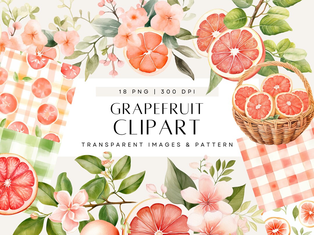 Pink Citrus Clipart, Watercolor Grapefruit Clipart, Main Squeeze Baby ...