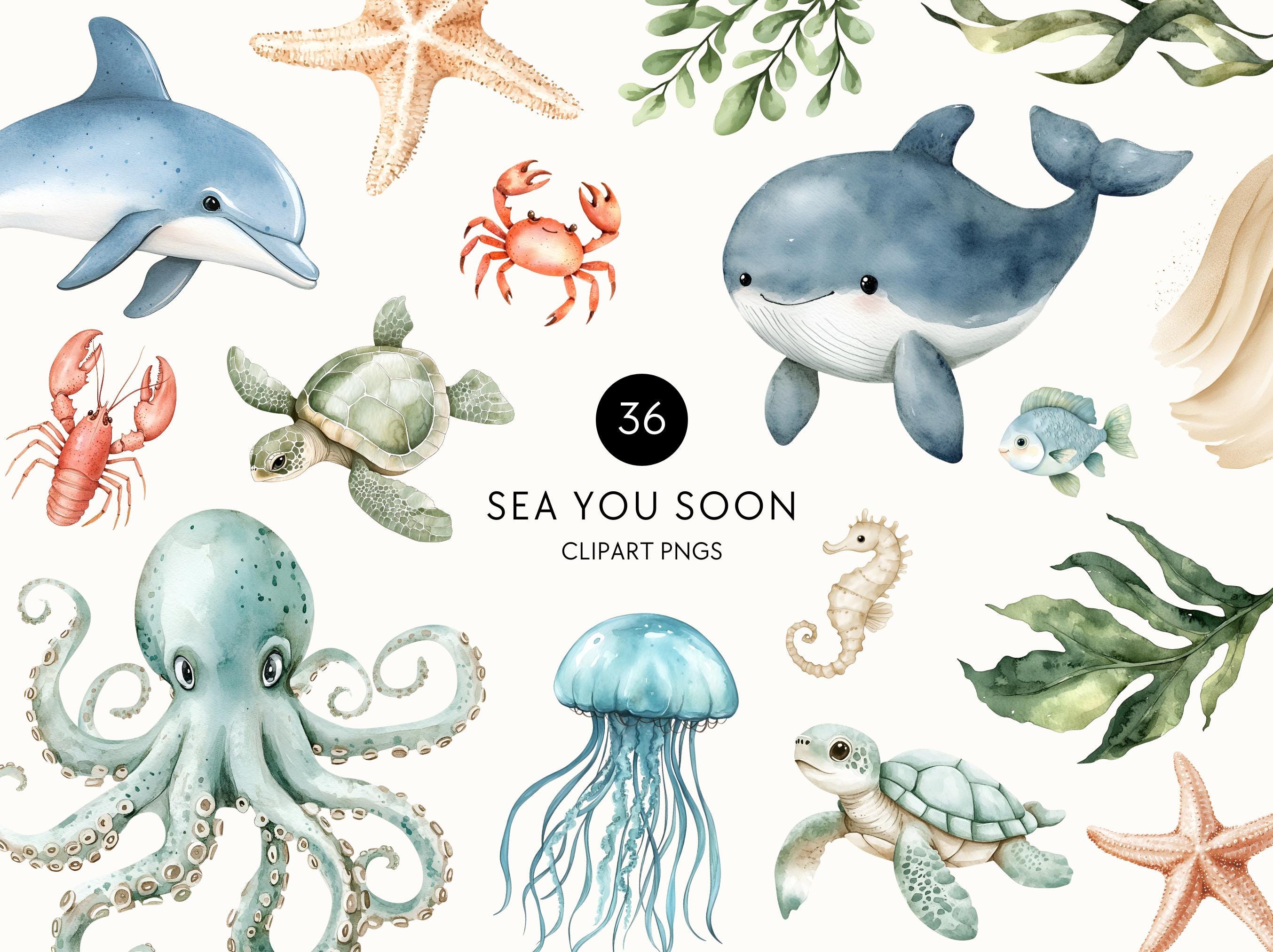 Sea You Soon Clipart | Watercolor Baby Shower Coastal PNG Beach Baby ...