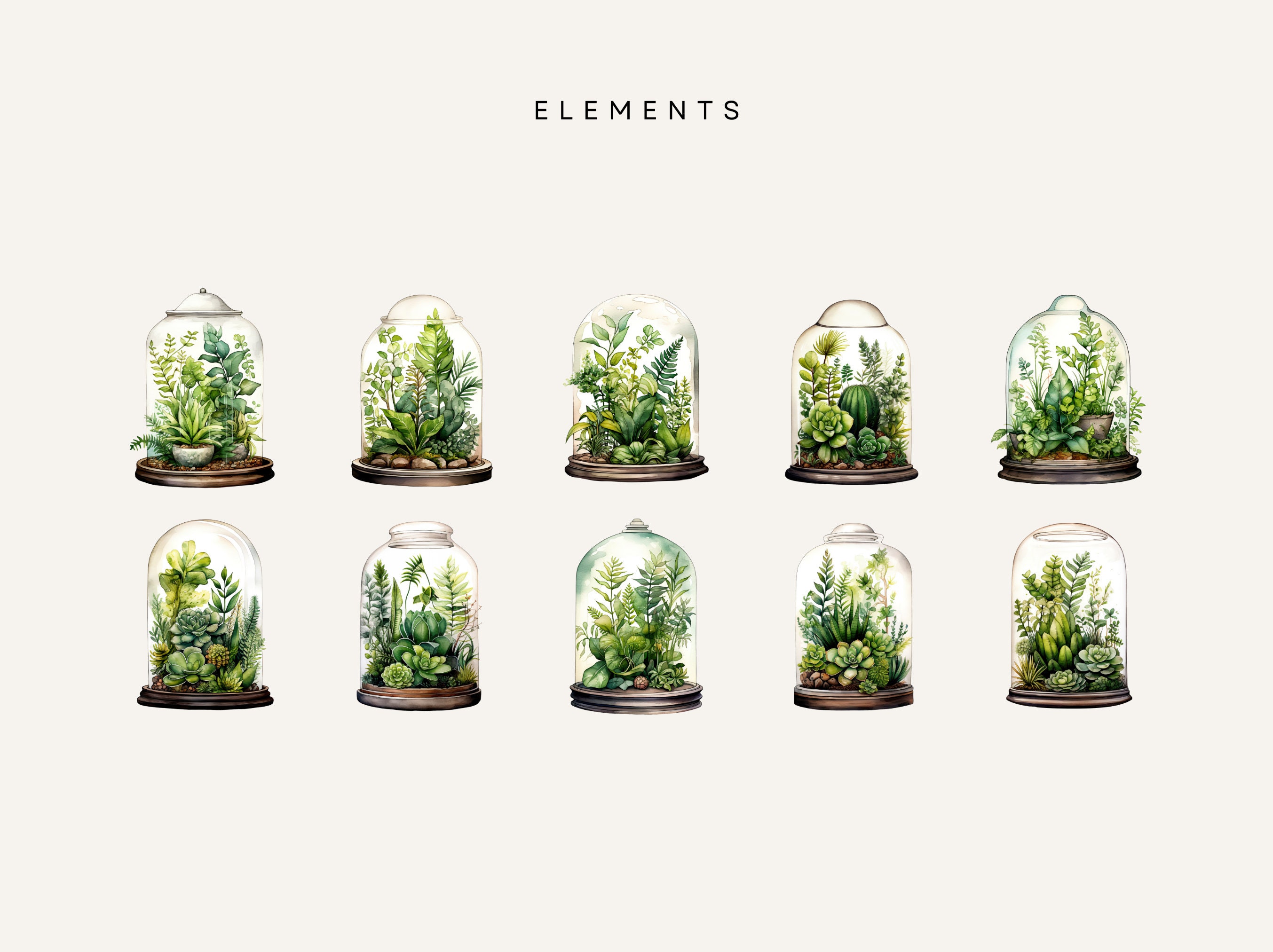 Terrarium Clip Art, Green Glass Terrarium, Planter, Succulent, Cacti ...