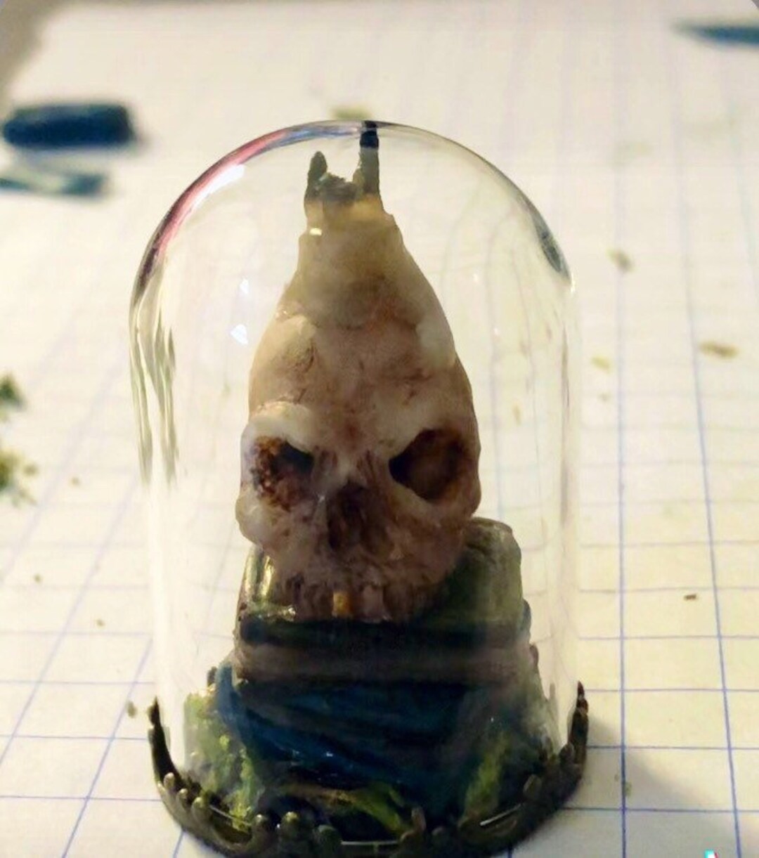 2” Miniature Skull and Book Glass Dome ; Display or Wearable Pendant ...