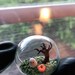 Glass Dome Globe Pendant With Halloween Scene Ghost, Haunted Tree ...