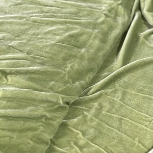 Lichen Silk Velvet Fabric by the Yard - Etsy