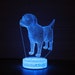 Golden Retriever Labrador Pet 3D Night Lamp Night Light Home Decor 3D ...