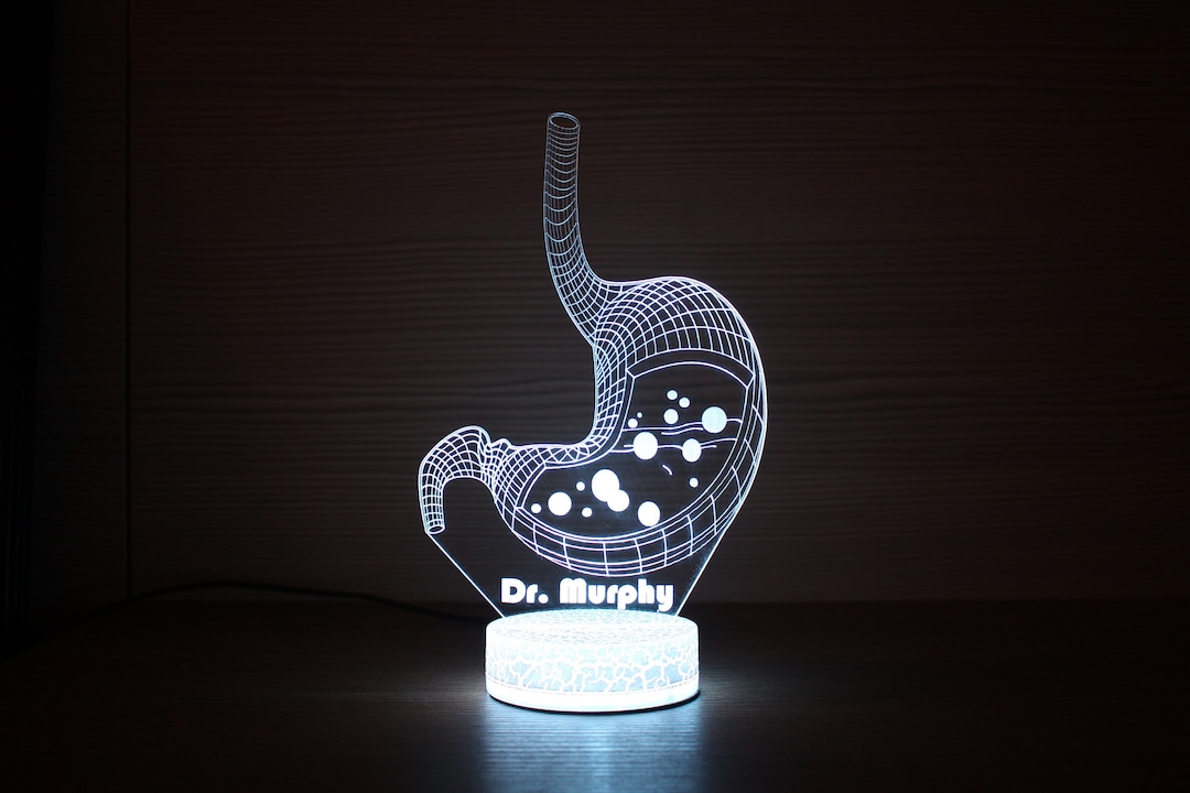 Stomach Gastroenterologist Gift Stomach Led Lamp 3D Night Lamp 3D Night ...