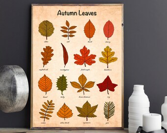 Autumn Leaf Chart | Etsy