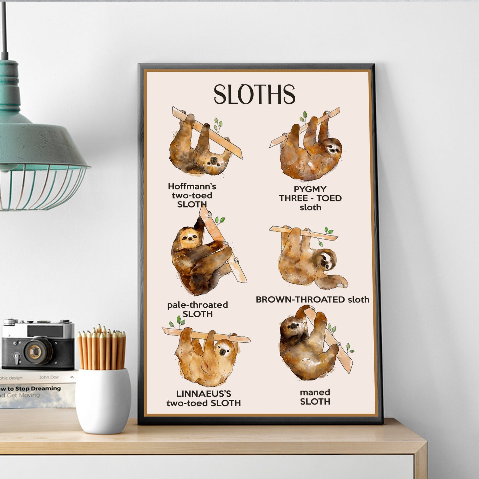 Types of Sloths Poster Sloth Lover Home Decor Sloth Gifts | Etsy