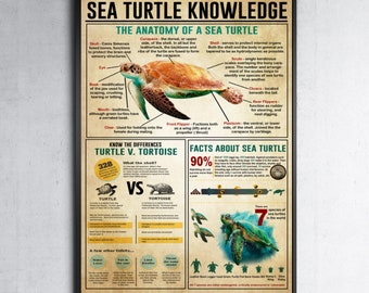 Sea Turtle Poster | Etsy