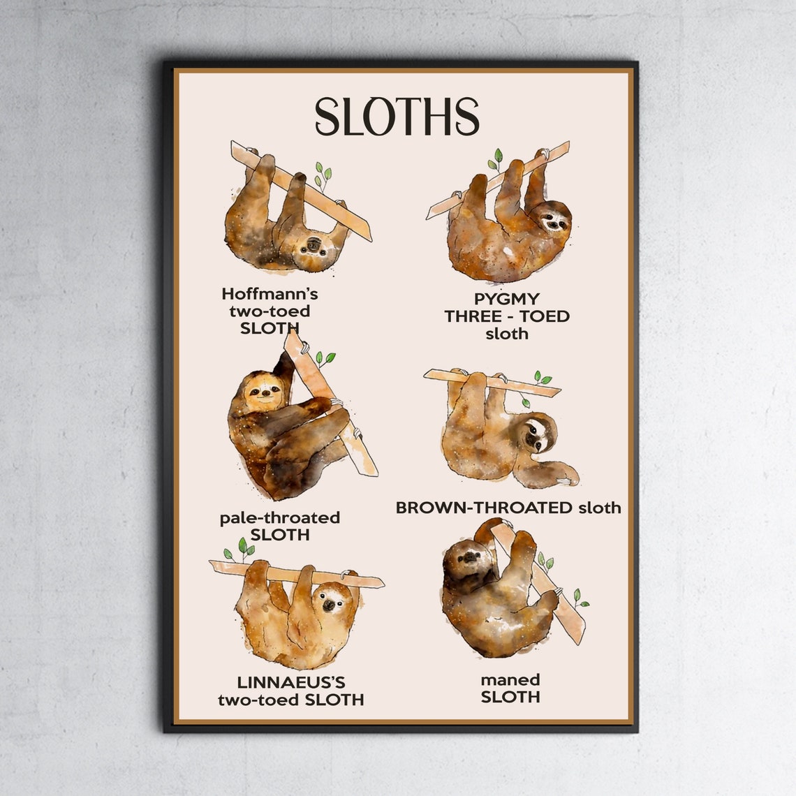 Types of Sloths Poster Sloth Lover Home Decor Sloth Gifts | Etsy