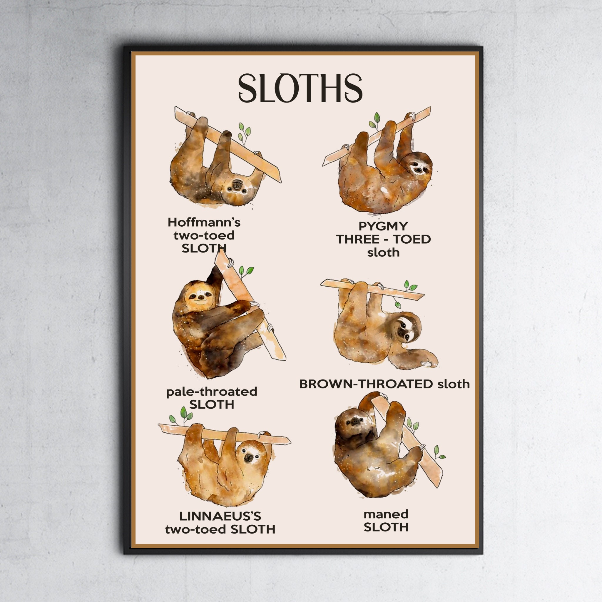 Types of Sloths Poster Sloth Lover Home Decor Sloth Gifts | Etsy