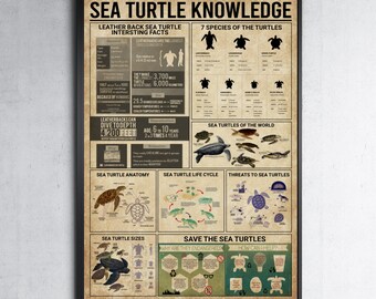 Sea Turtle Poster | Etsy
