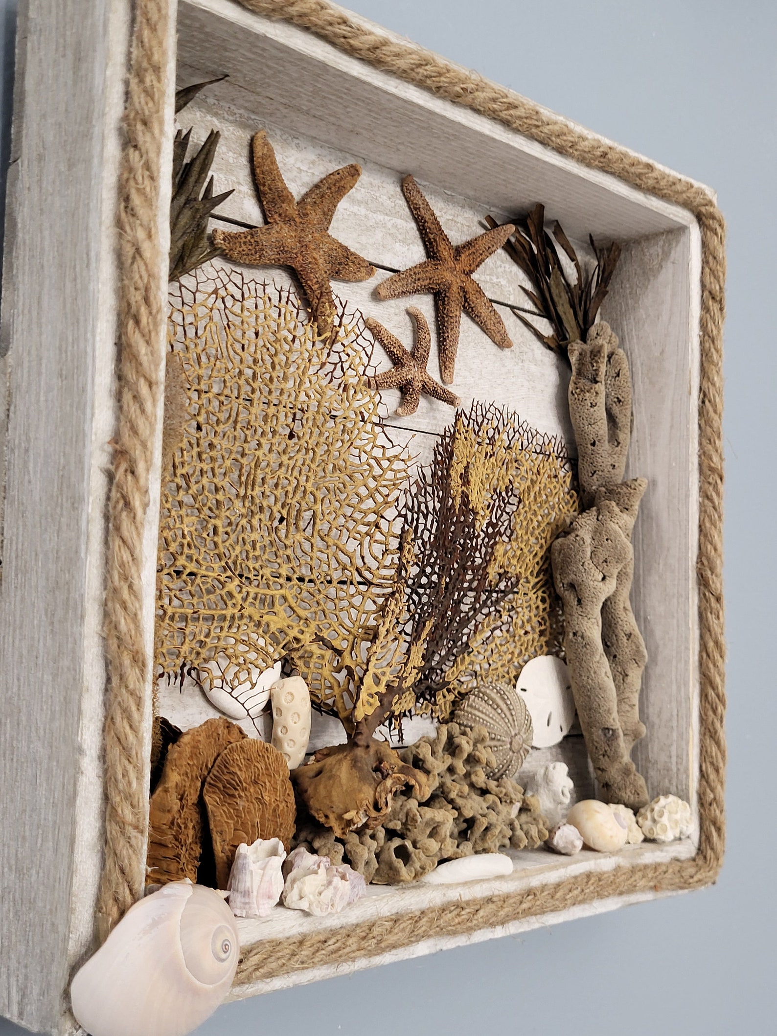 Seashell Wall Art, Coastal, Nautical, Beach Decor, Seashell Flowers ...