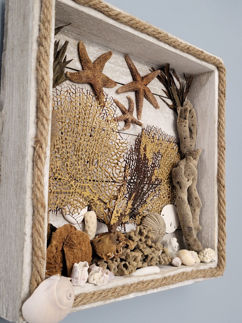 Seashell Wall Art, Coastal, Nautical, Beach Decor, Seashell Flowers ...