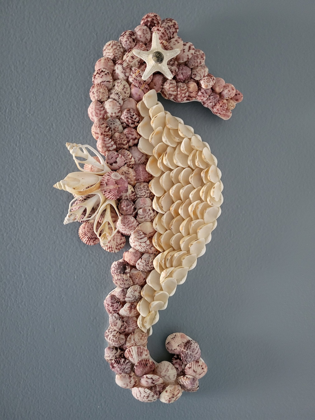 Seahorse Wall Decor, Beach Décor, House Gift, Beach Wall Art, Coastal ...